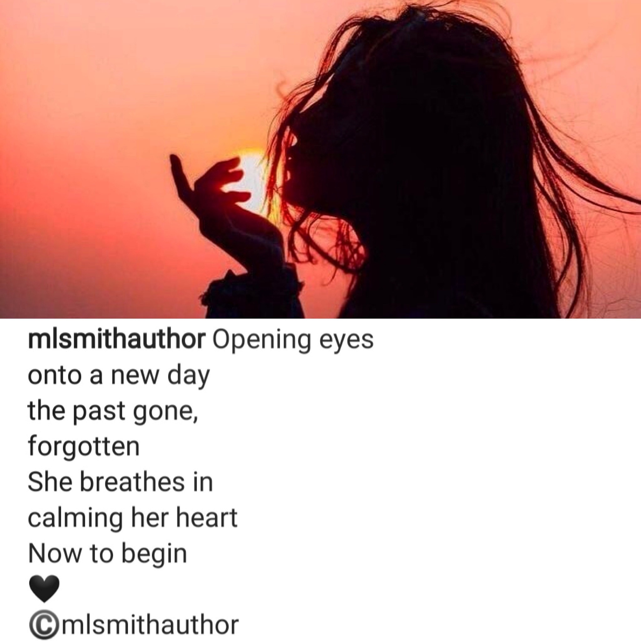 M. L. Smith Author | Books, writing & poetry